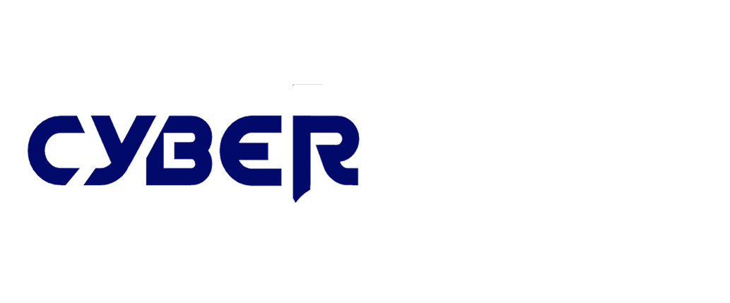 FEW WORDS ABOUT CYBER CUBE – Cyber Cube – Smart Digital Transformation